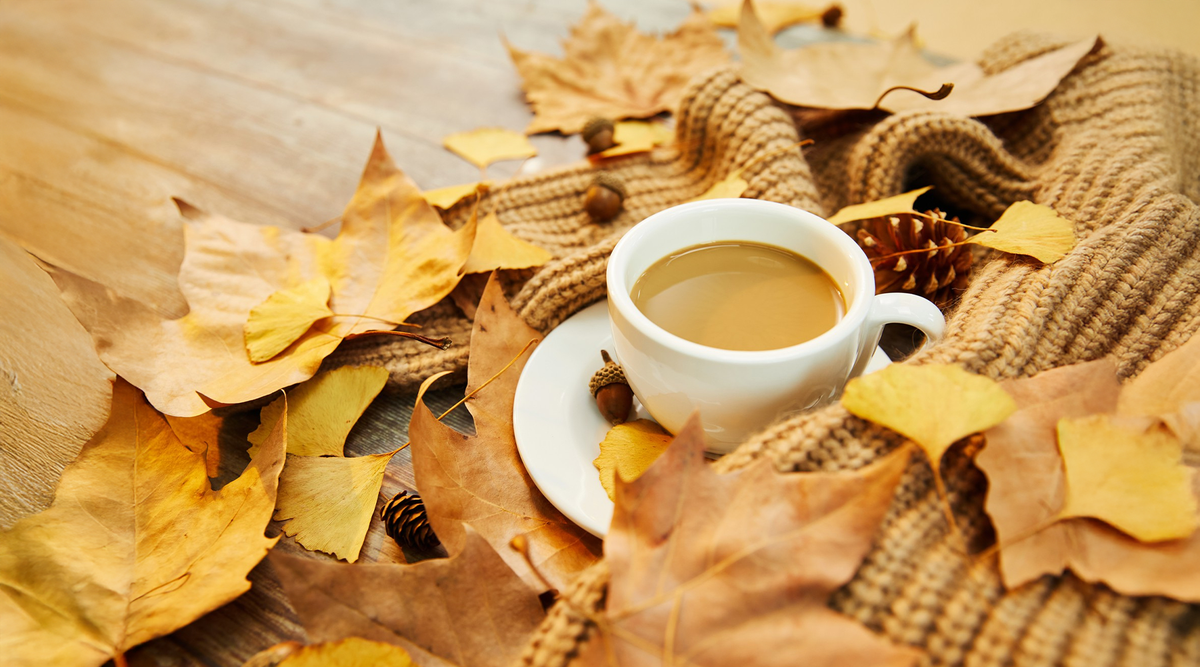 fall coffee drinks 2025