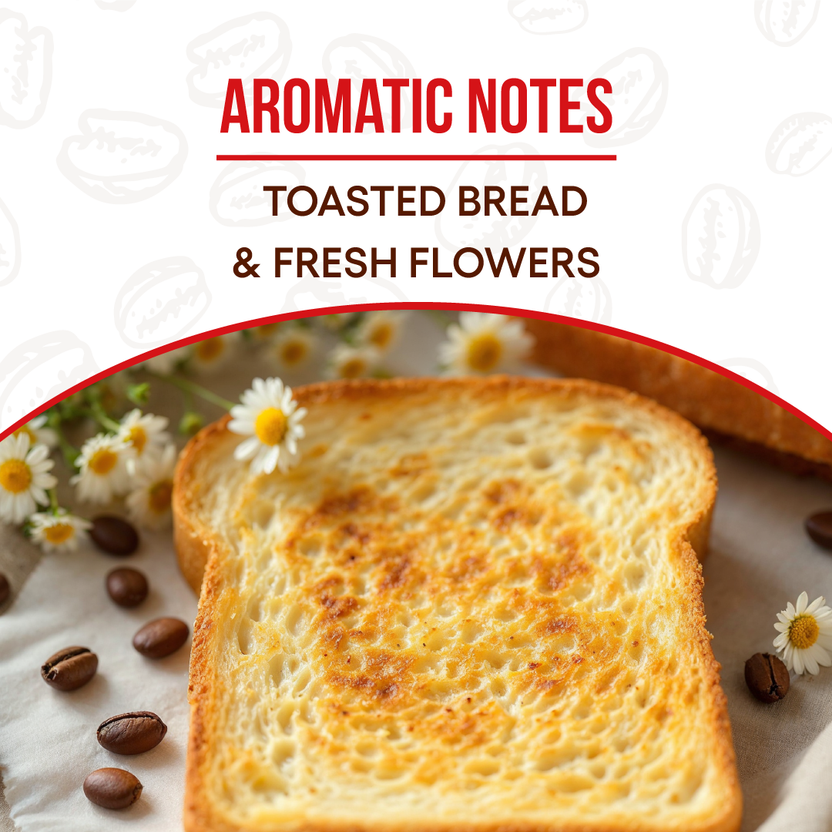 KIMBO - Barista Aluminum Capsules - Medium Dark Roast with Bread ...